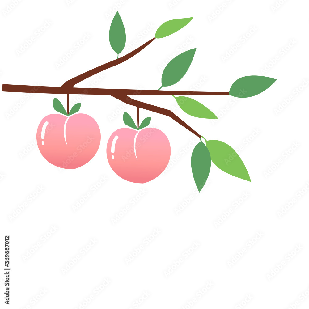 Peach tree branch with leaves isolated on white background vector. Cute ...