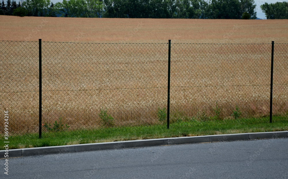 fencing with a wire fence 2 m high cereal field concrete interlocking ...