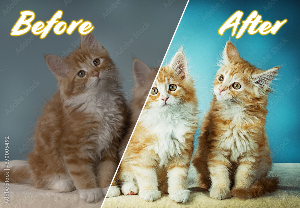Adjustment Photo Effect Stock Template | Adobe Stock