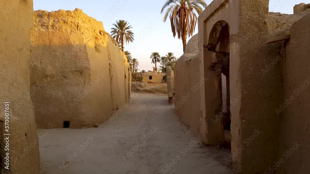 Vidéo Stock Walking in winding lanes in a remote desert Esfahak village ...