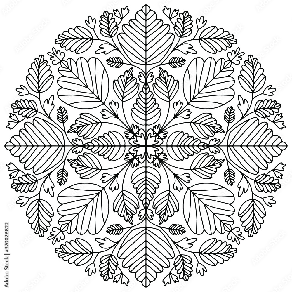 leaves of different sizes forming a round amandala drawn on a white ...