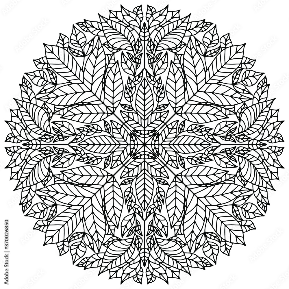 branches with leaves forming a mandala drawn on a white background for ...