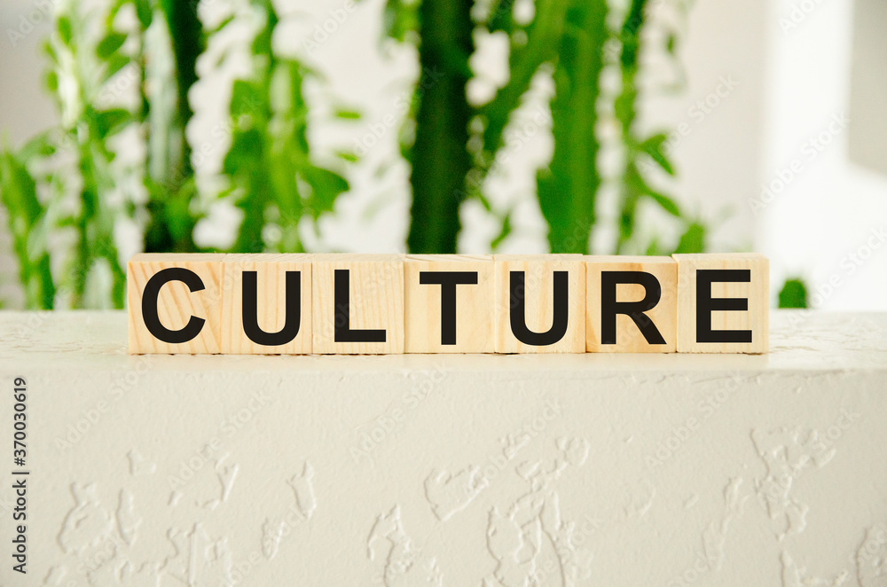 culture text is written on cubes. in the background is a plant. culture ...