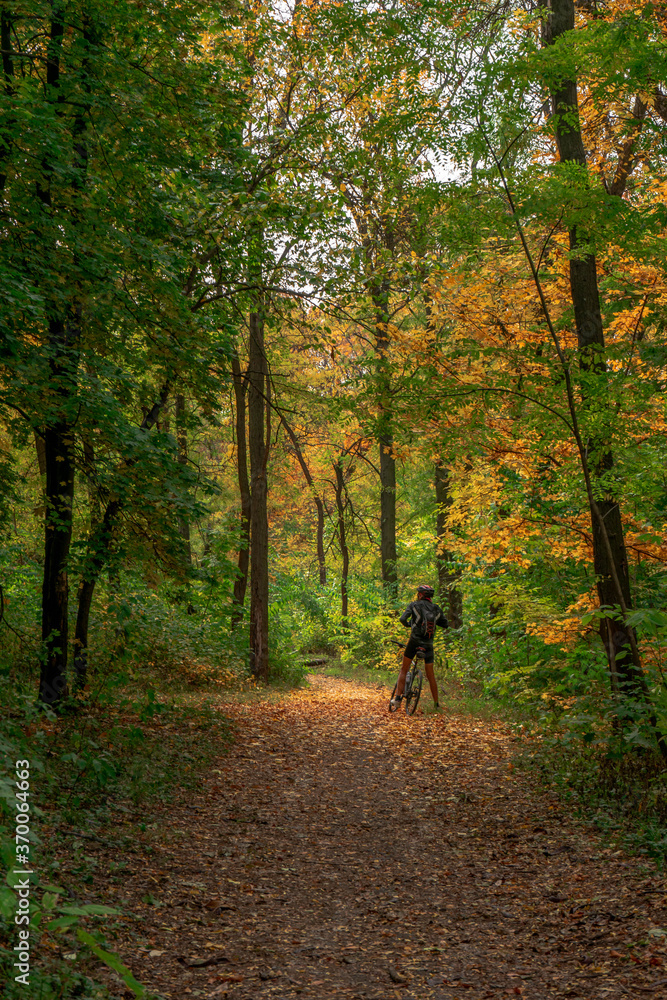 Earthen path in the park with trees. Green foliage begins to turn ...