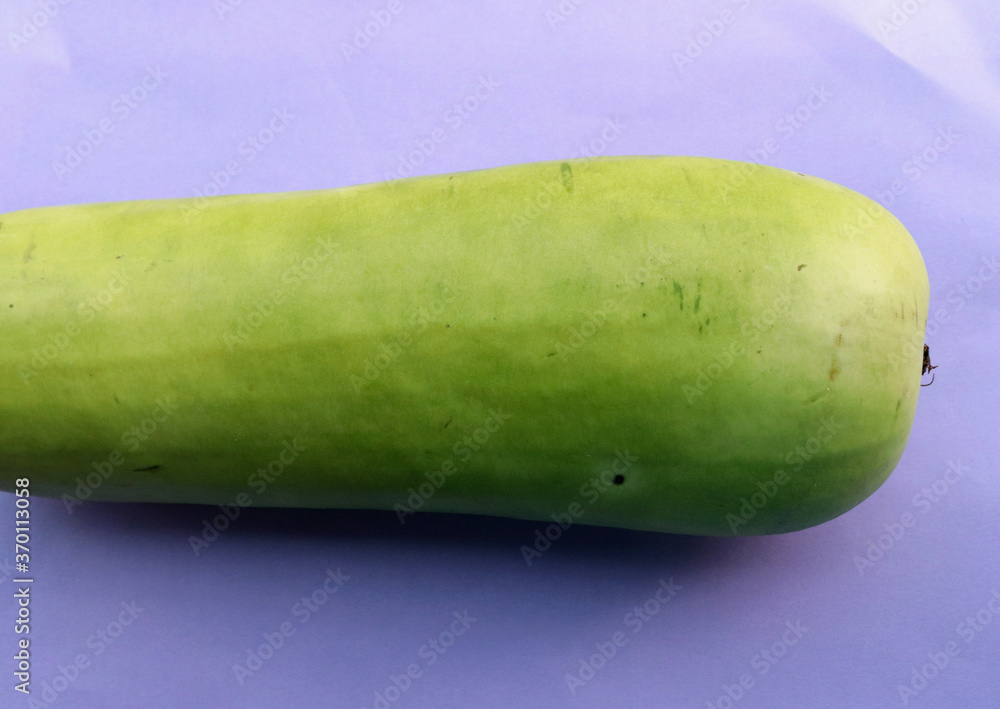 green long Indian bottle gourd with natural coconut tree background ...