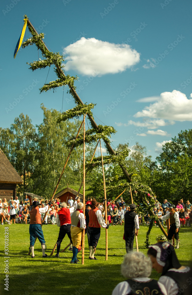 Poster Raising of a midsummer pole duringa a traditional celebration of swedish midsumm – Wall ...
