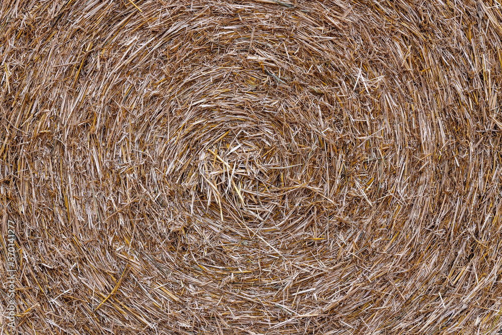 Abstract Natural Hay Dry Grass Background For Your Design Projects ...