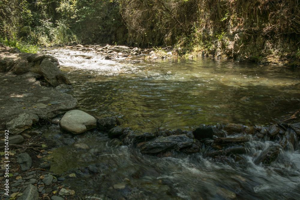 krajobraz rzeka kamienie las drzewa liście woda lato natura zieleń ...