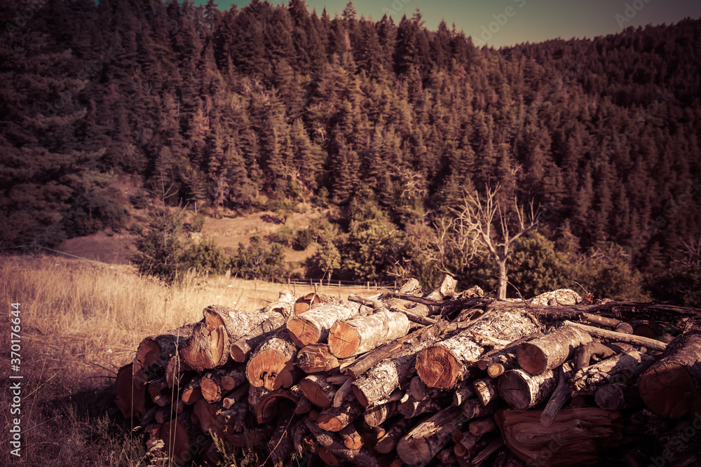 Stacked timber logs with background of mountains and forest. Taken in ...