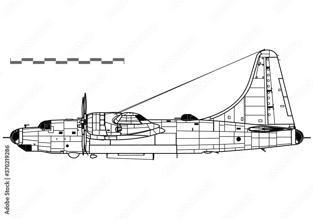 Consolidated B-32 Dominator. Vector drawing of WW2 heavy bomber. Side ...