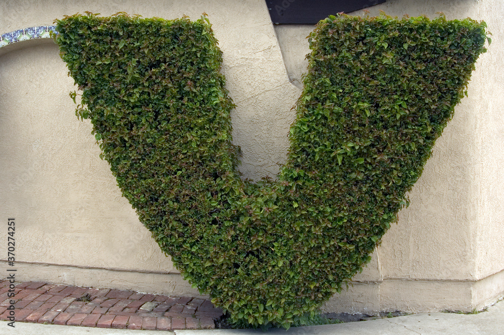 Found letters as in A to Z and 0 to 9, alpsha numeric or alphabet and ...