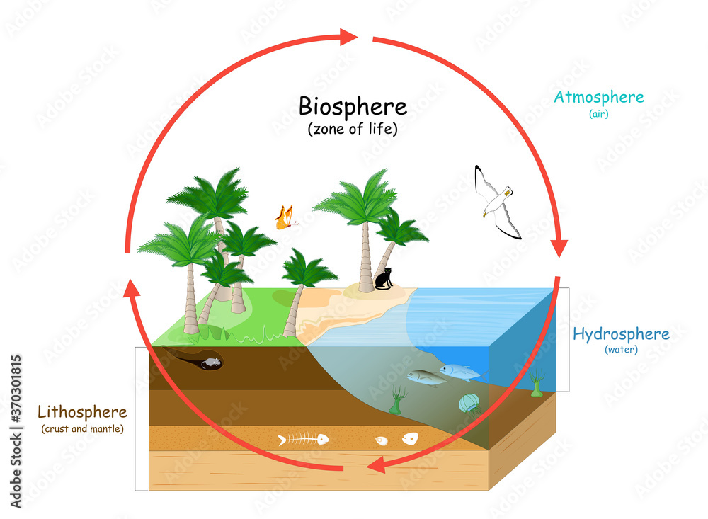 Vetor de Biosphere. natural ecosystems with wildlife do Stock | Adobe Stock