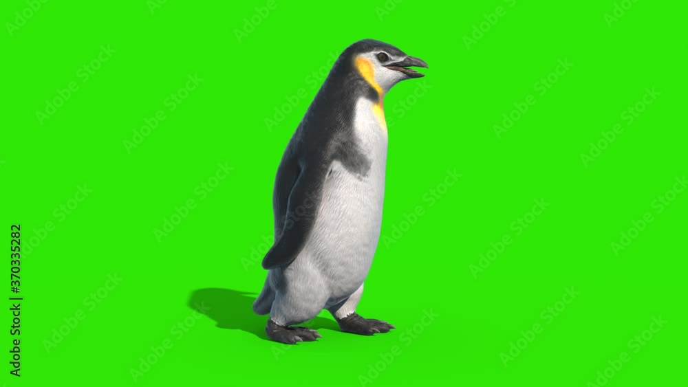 Penguin Walkcycle Green Screen Loop Side 3D Rendering Animation 4K ...