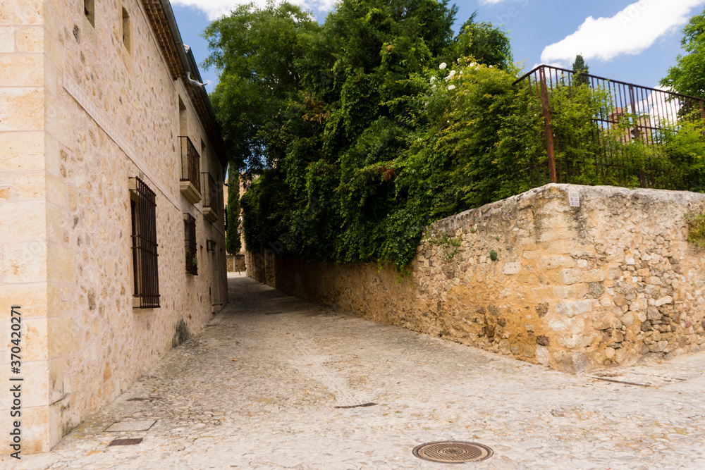 Village of stone houses and cobbled floor with a tree of leafy leaves ...
