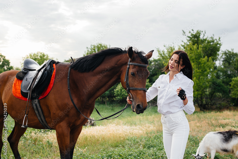 A young pretty girl rider poses near a thoroughbred stallion on a ranch ...