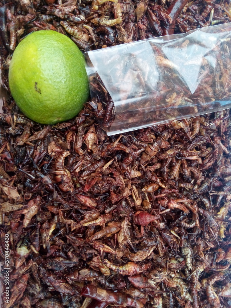 chapulines con limón, comida mexicana, grasshopper Stock Photo | Adobe ...