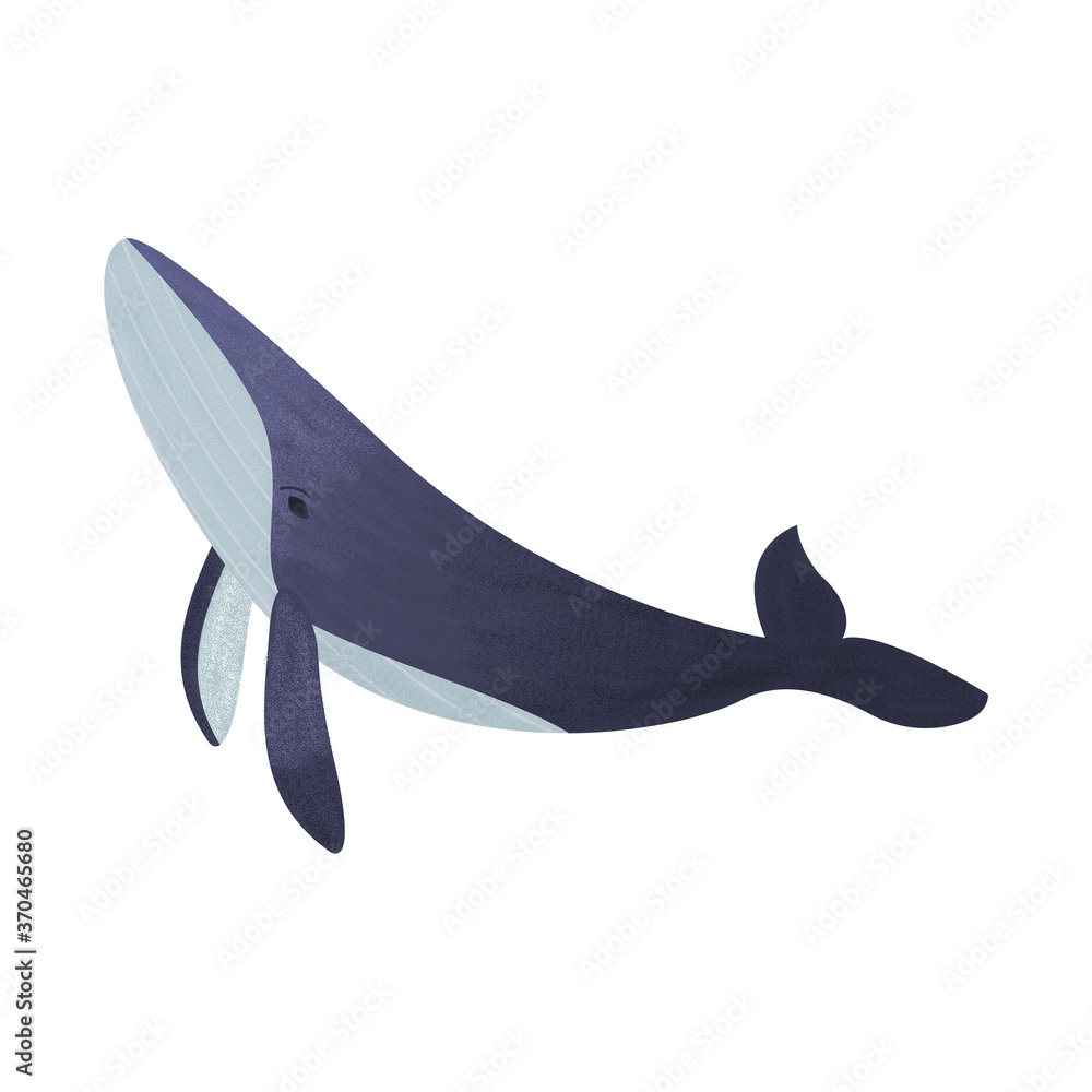 Humpback Whale Comic