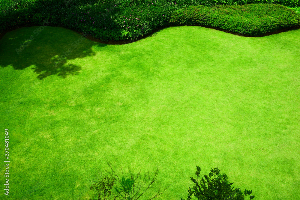Foto de Green grass lawn with bush and tree in outdoor backyard garden ...
