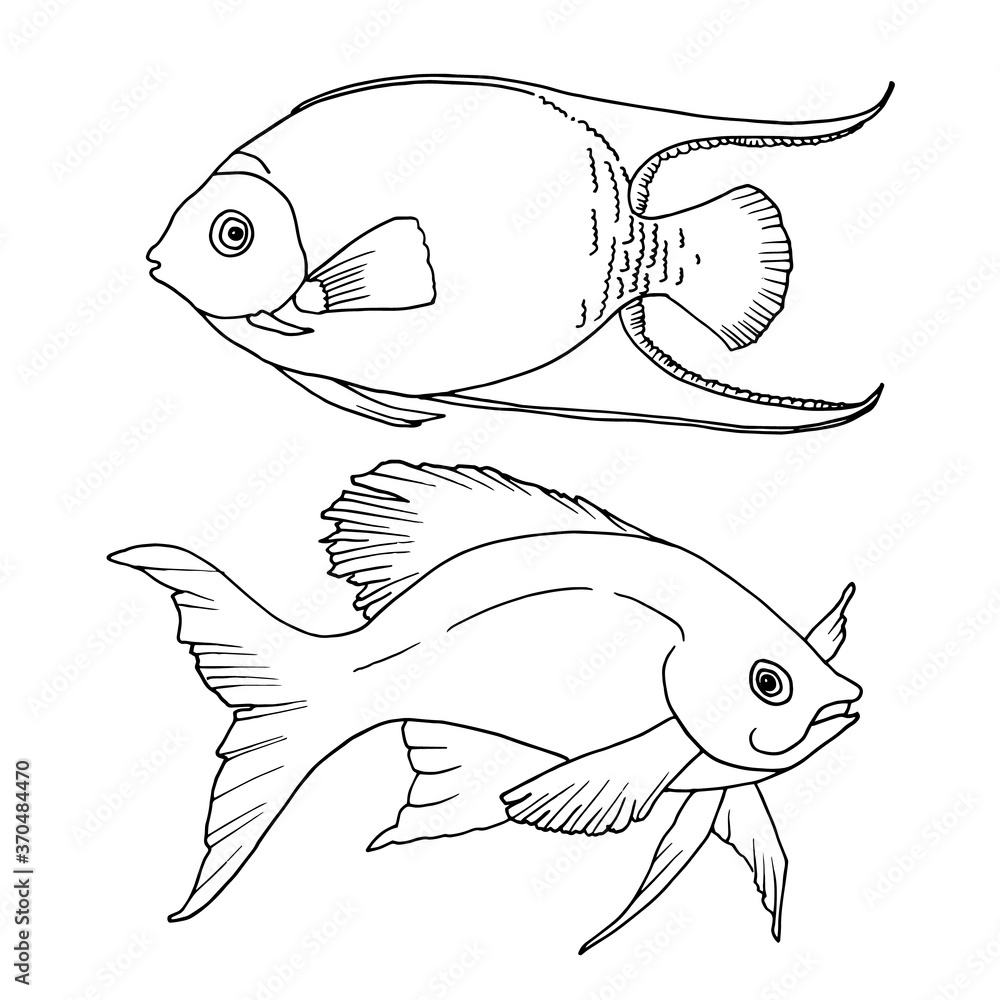 Hand drawn outline of a fish, drawing in Doodle style. Set of ...