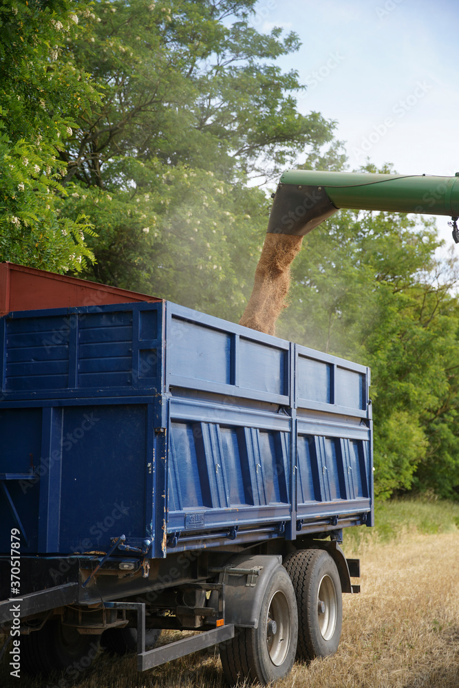 Tractor Trailer Grain
