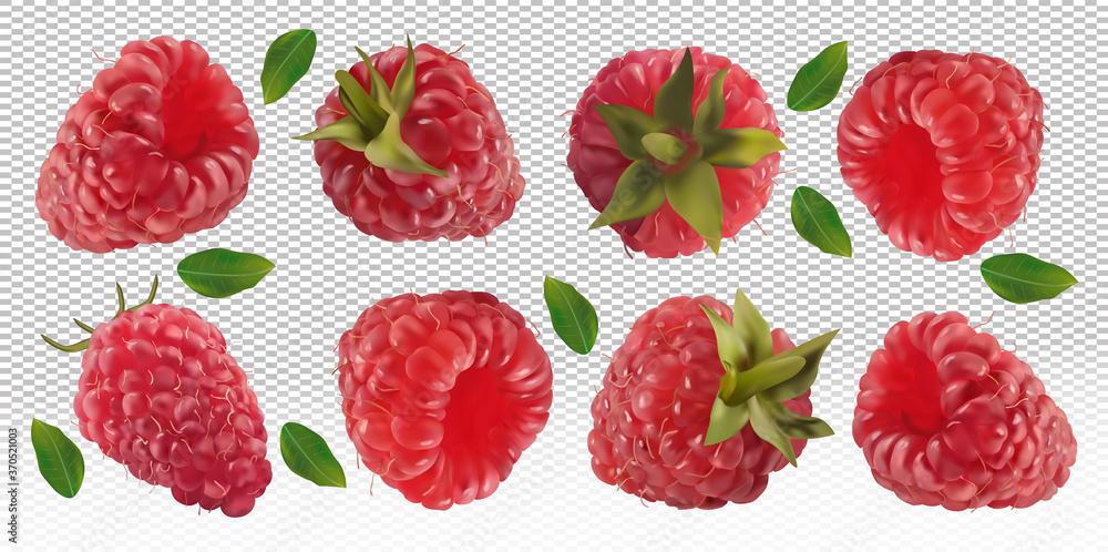 Raspberry falling from different angles. Flying raspberry with green ...
