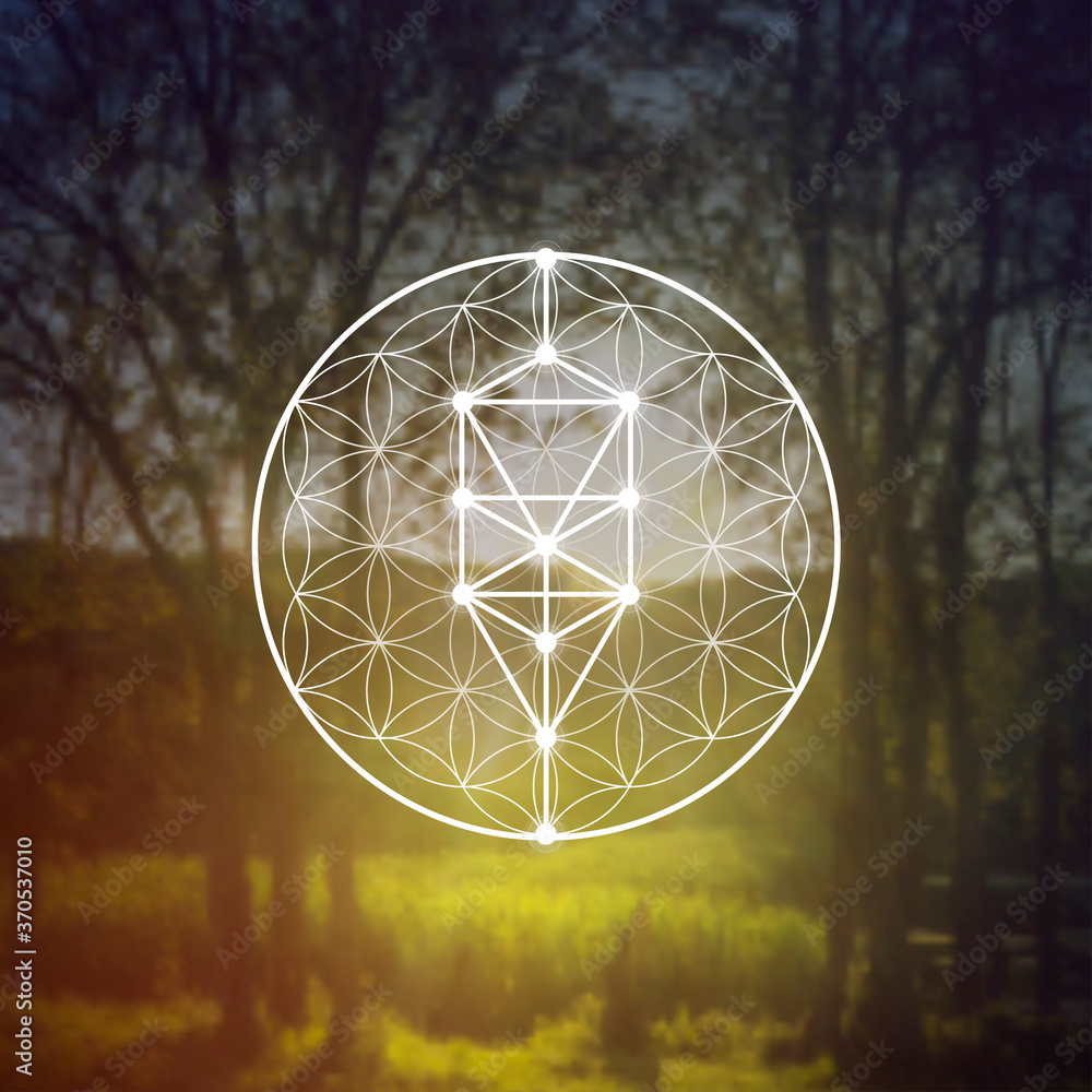 Flower of life sacred geometry illustration with intelocking circles ...
