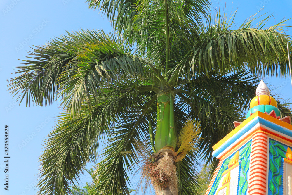 The dome of a colorful Hindu temple under a palm tree against the blue ...