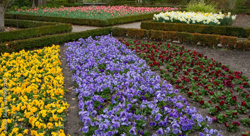 Landscaping and design. View of the flower beds in the garden. Yellow ...