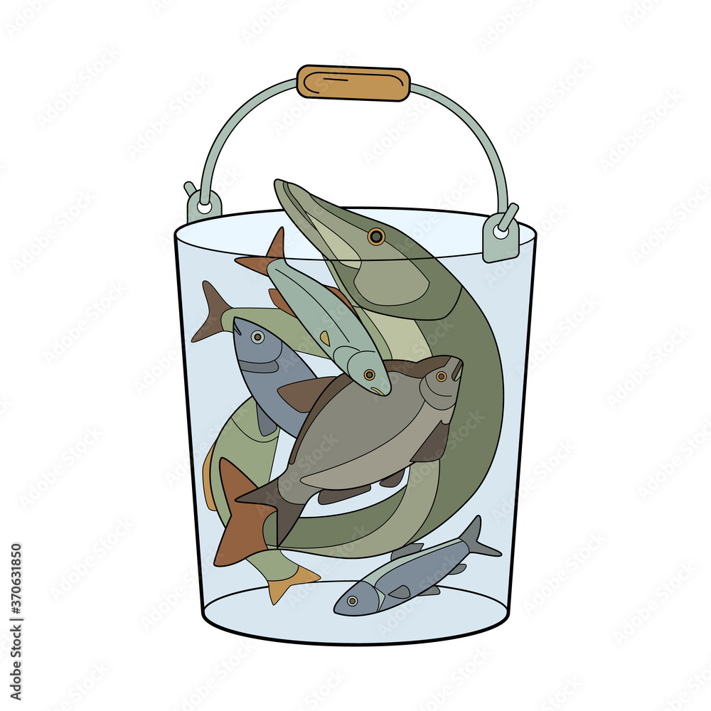 Fish in a bucket. Colored vector illustration. Isolated on a white ...