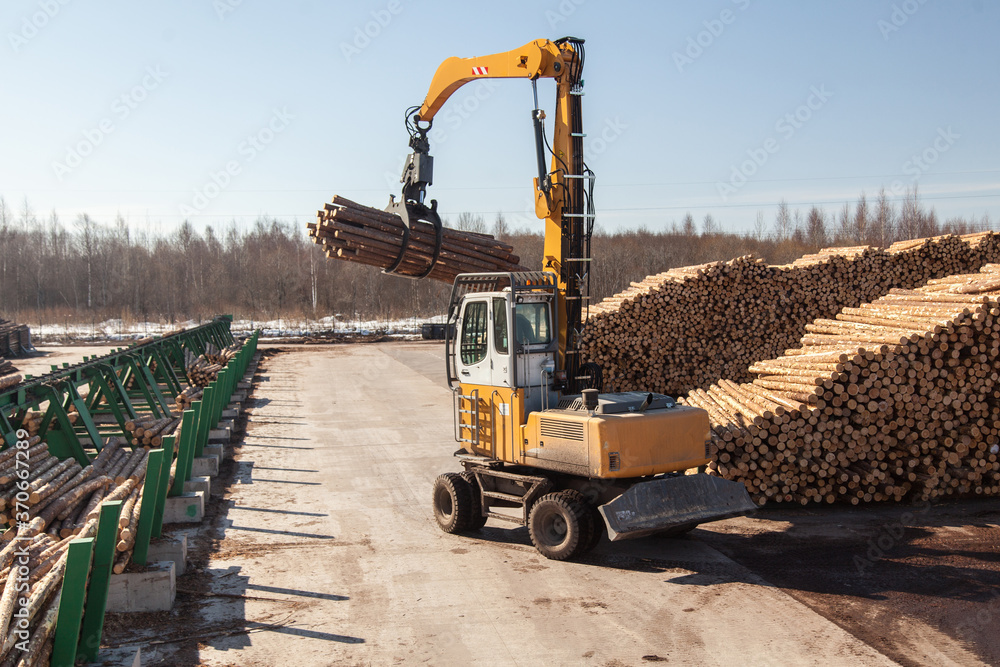 An industrial loader loads logs into a conveyor at a sawmill Stock ...