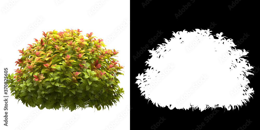 Left view of tree (Spiraea) png with alpha channel to cutout 3D ...