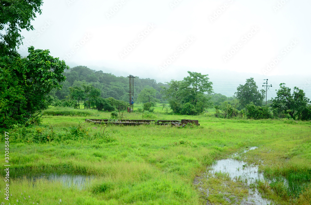 Rain in an indian village, Green Nature Stock Photo | Adobe Stock