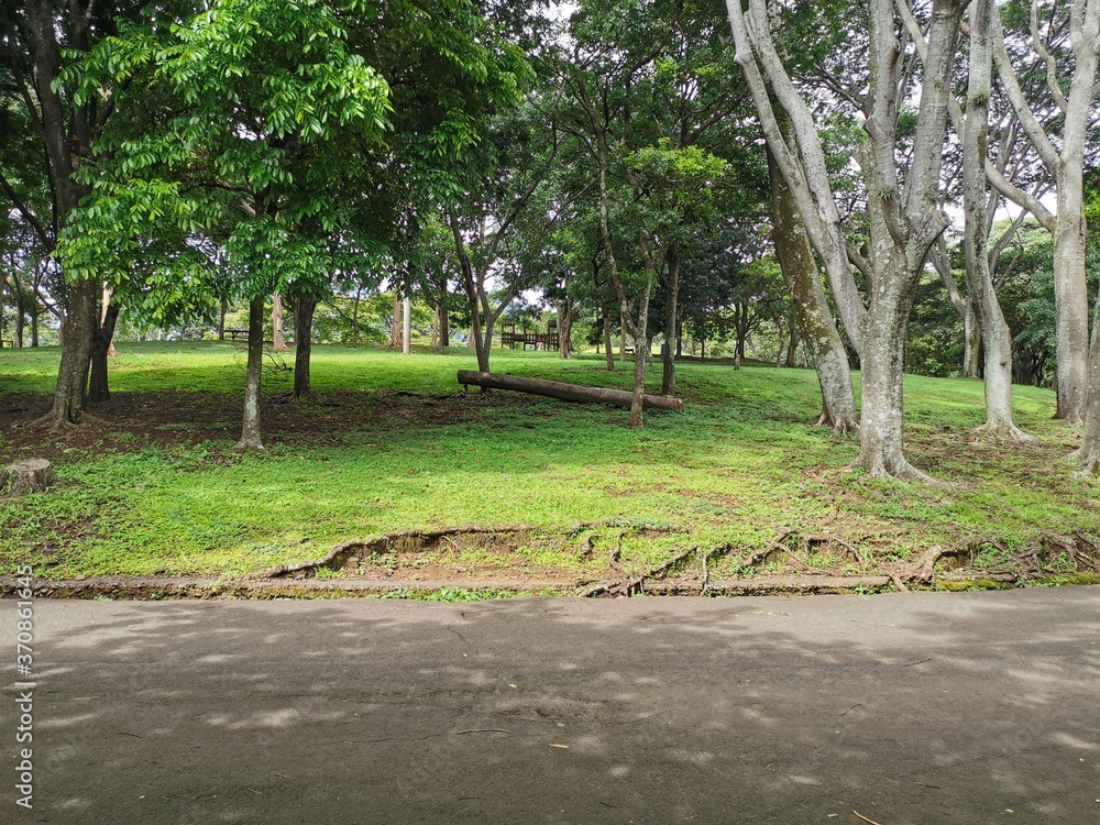 PARQUE LA SABANA SAN JOSE COSTA RICA Stock Photo | Adobe Stock