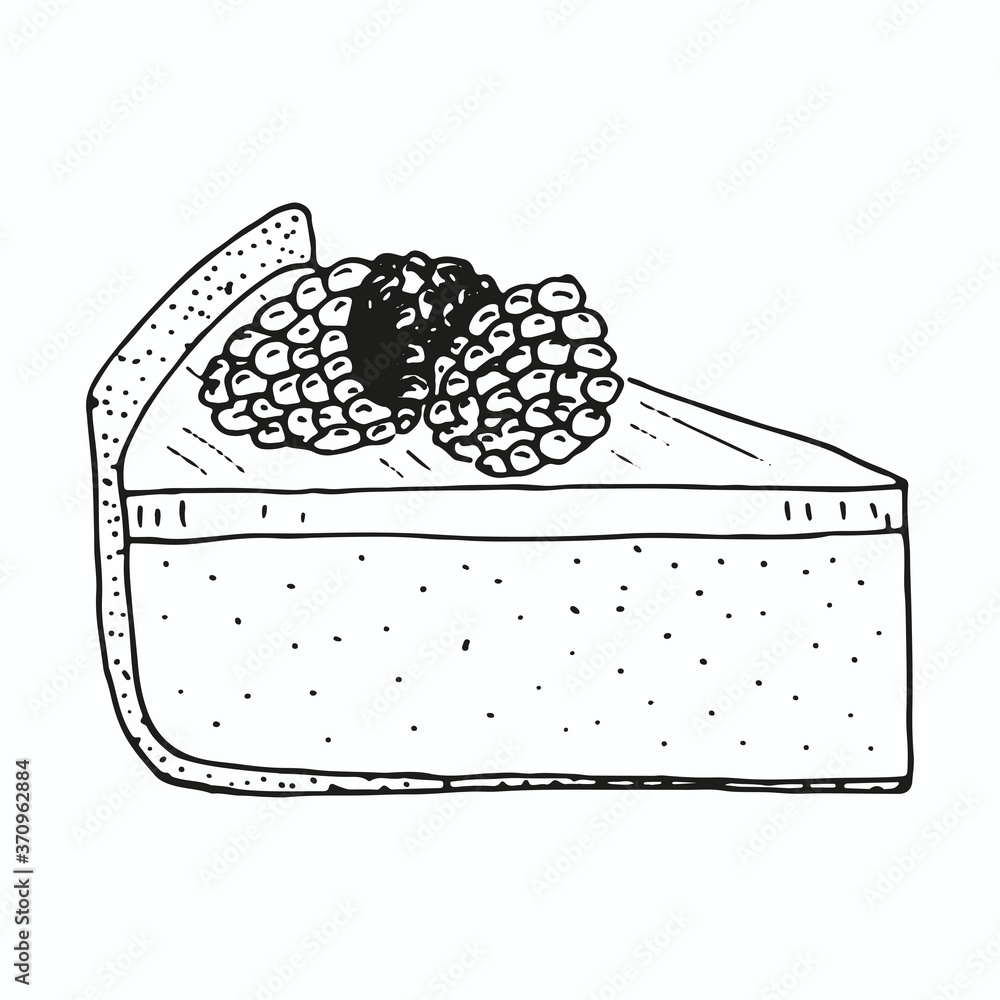 Piece of tasty cheesecake with raspberries and blueberry. Vector hand ...