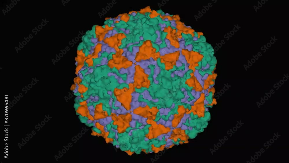High-resolution crystal structure of Coxsackievirus A24v, animated 3D ...