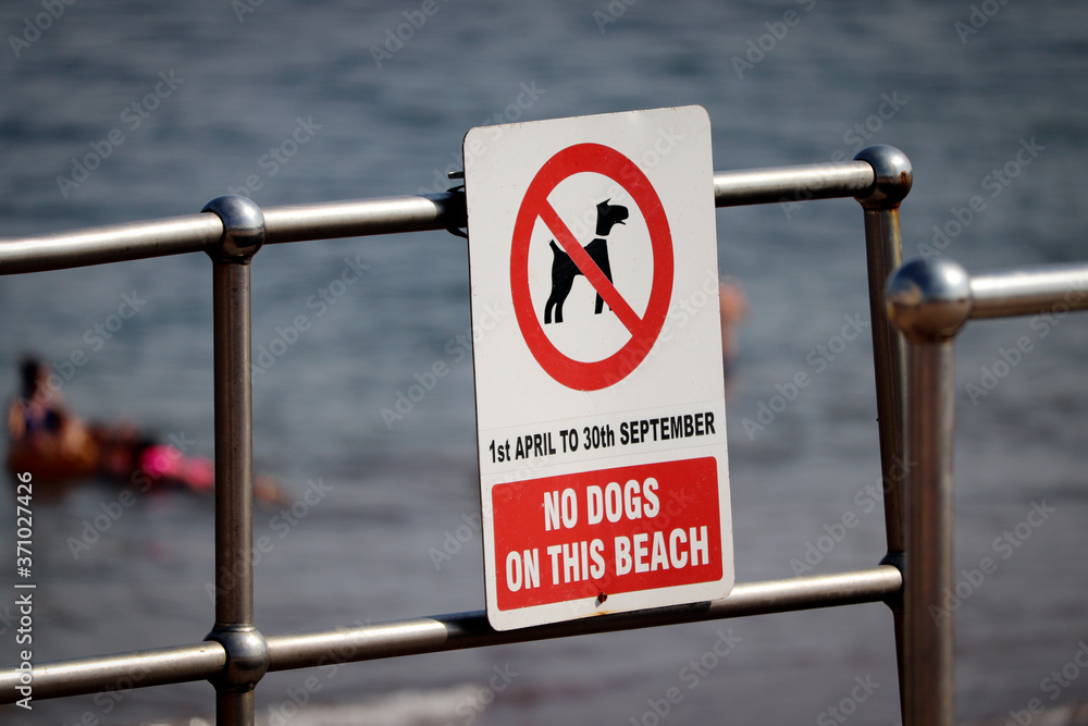 No dogs on the beach sign Stock Photo | Adobe Stock