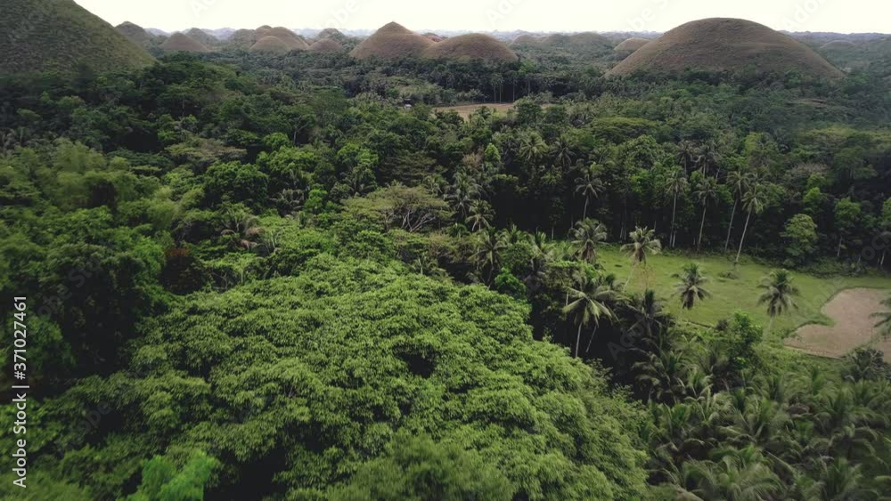Chocolate Hills foggy peaks aerial shot. Unique Philippines geological ...