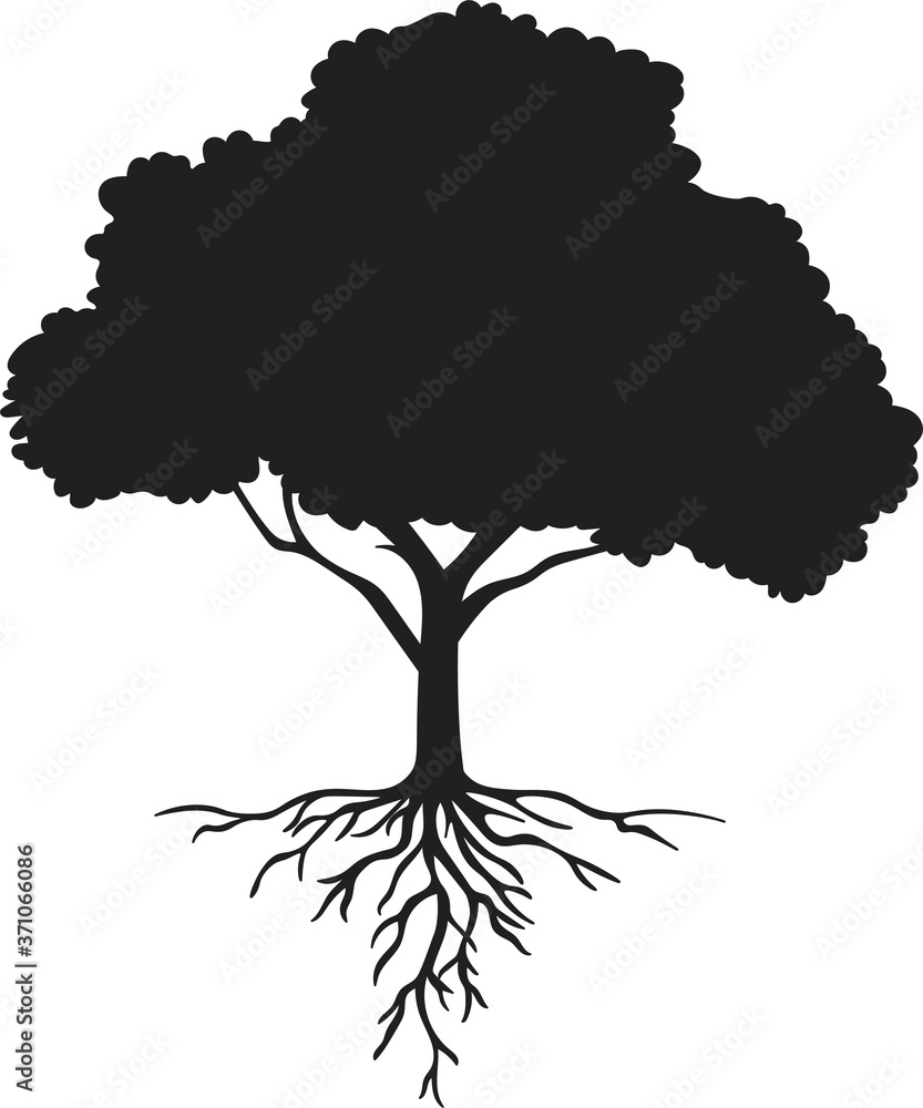 Tree Roots Icon