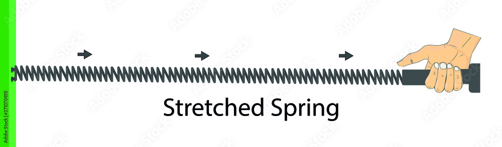 physics. Stretched Spring. transverse waves. longitudinal. The ...