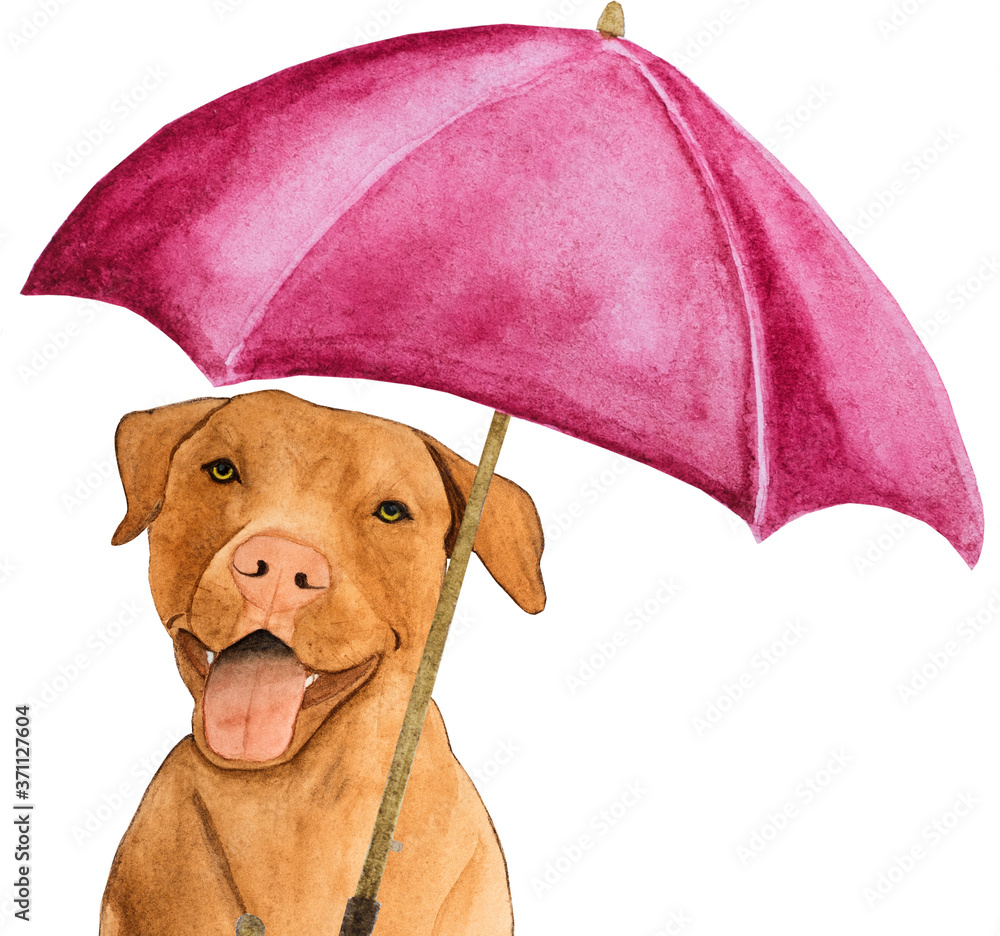 Lovable, pretty puppy of chocolate color. Beautiful drawing with ...