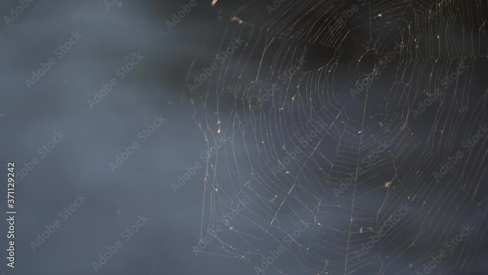 Clsoeup view 4k video of spider cobweb isolated at blurry river water ...