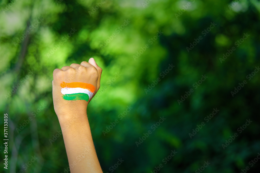 indian flag on hand and wrist of Indian child Stock Photo | Adobe Stock