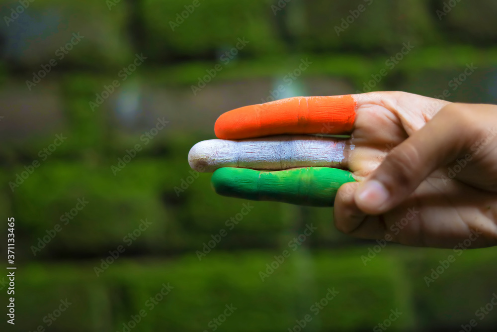 indian flag on hand and wrist of Indian child Stock Photo | Adobe Stock