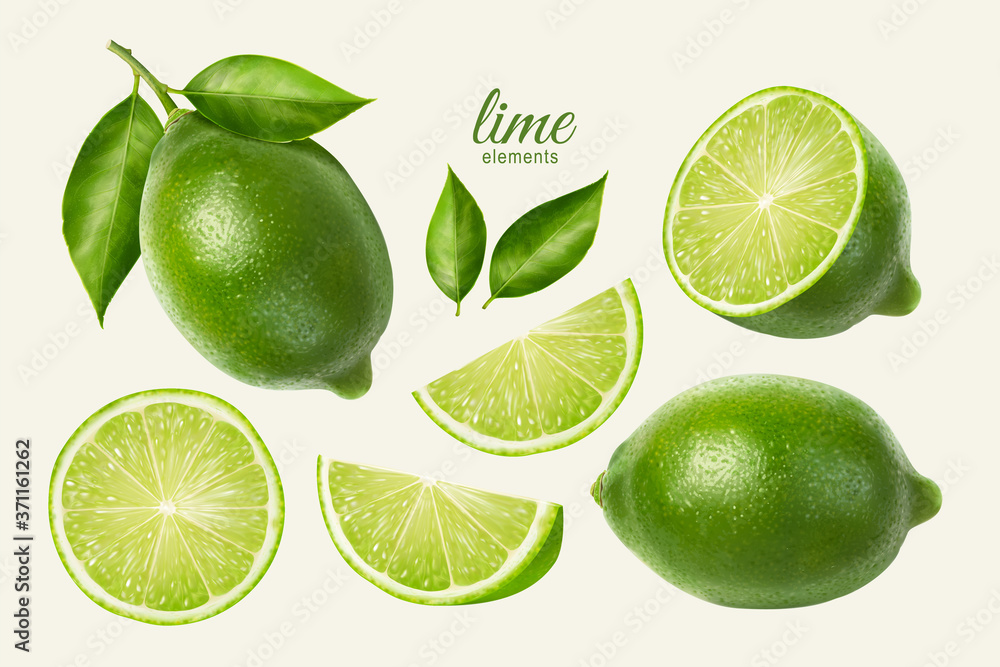 Fresh lime set Stock Vector | Adobe Stock