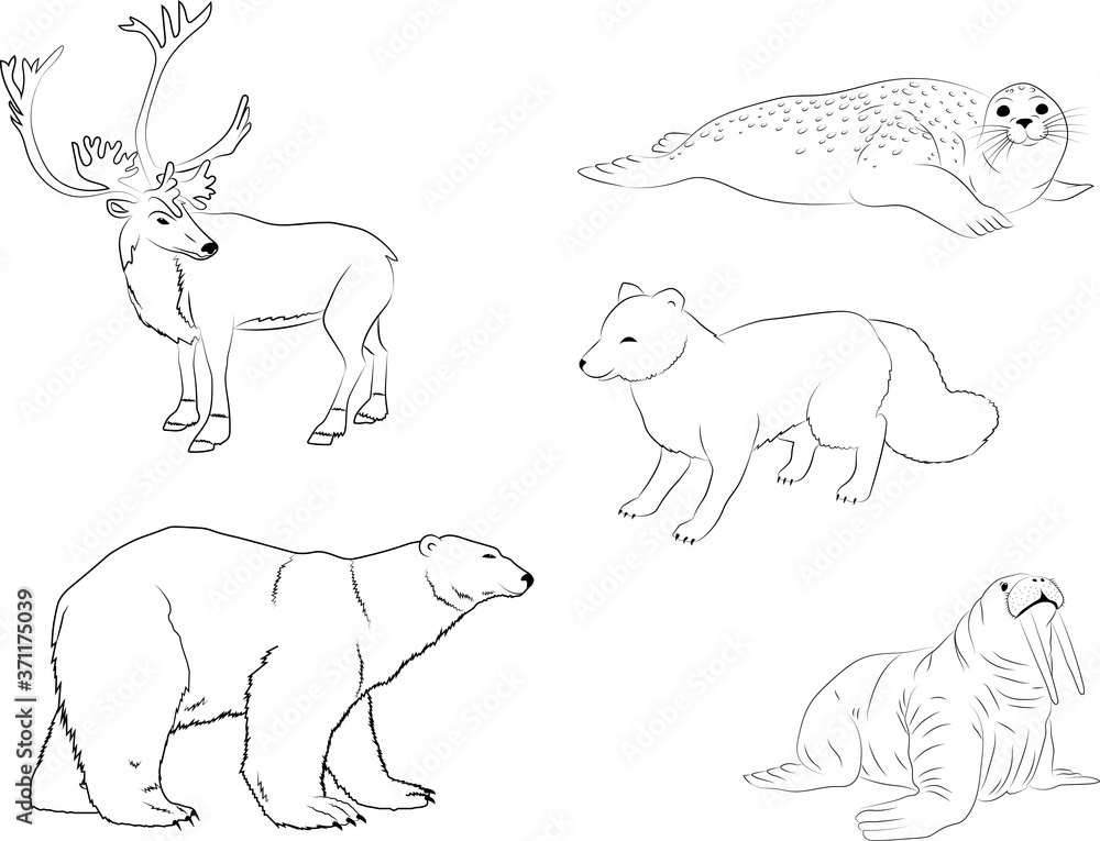 Arctic Animal Outlines