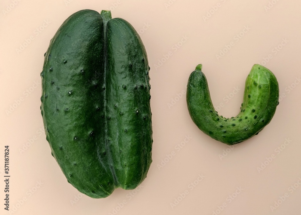 Trendy Ugly food vegetable. Fresh ugly organic cucumber on a pastel ...