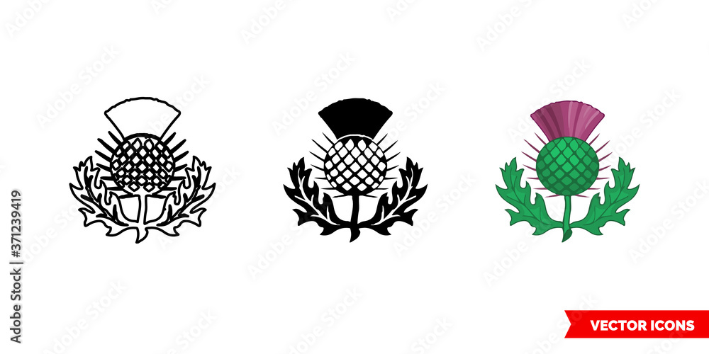 Thistle symbol of scotland icon of 3 types color, black and white ...