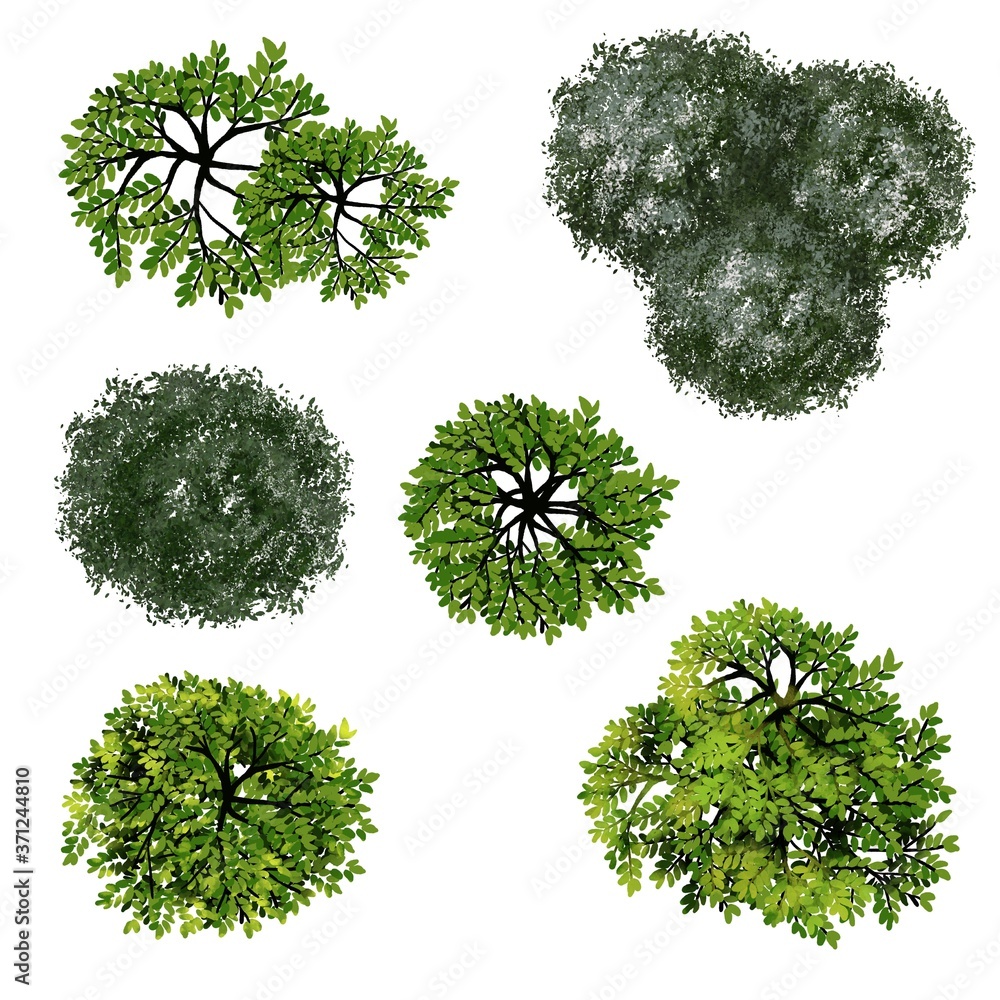Set of watercolor tree top view for landscape plan and architecture ...
