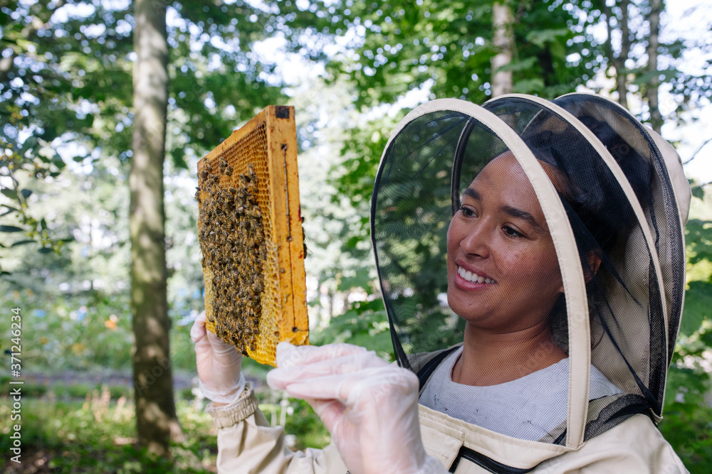 Female beekeeper checking her bee hive for bees and honey. Stock Photo | Adobe Stock