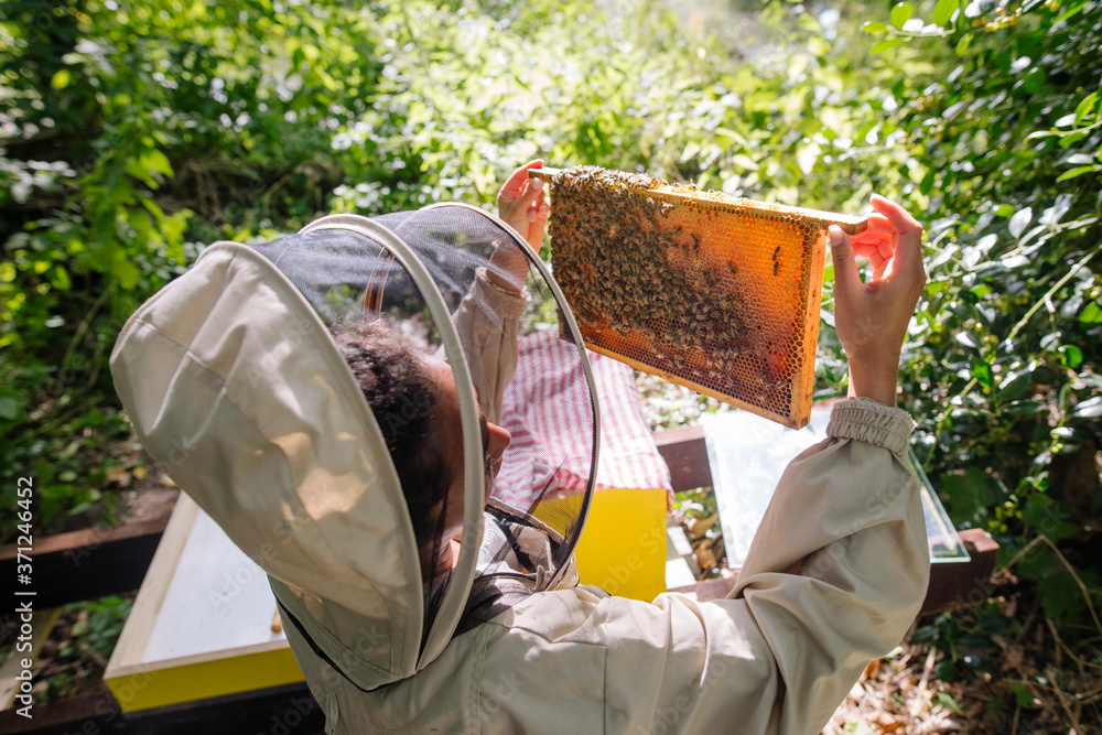 Female beekeeper checking her bee hive for bees and honey. Stock Photo ...